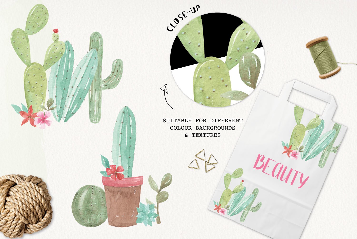 Cactus 8 Bouquets Watercolor Floral Succulents Leaves Cacti