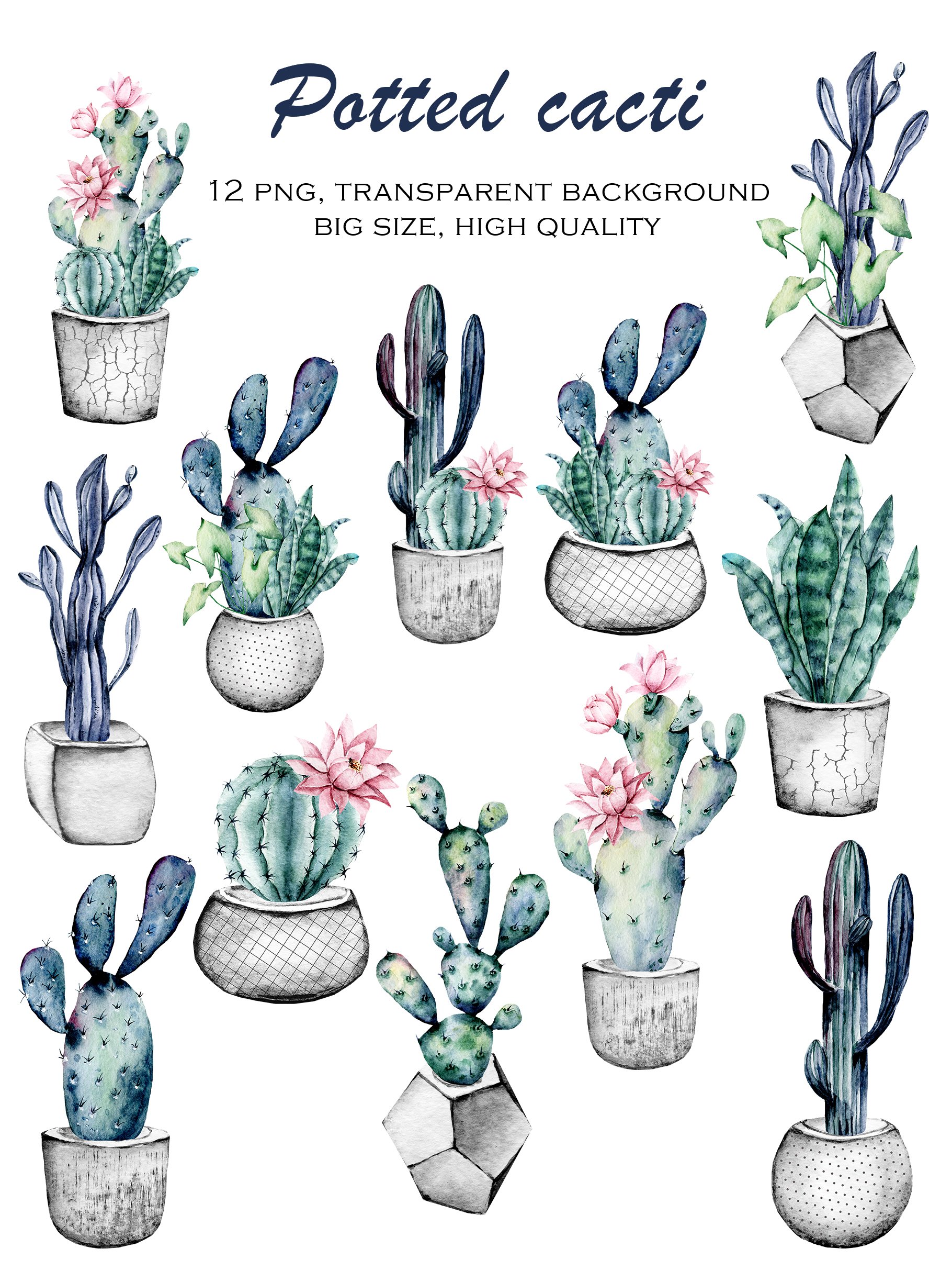 Cacti, watercolor floral set. Cactus in pot hand painting. (1062064 ...
