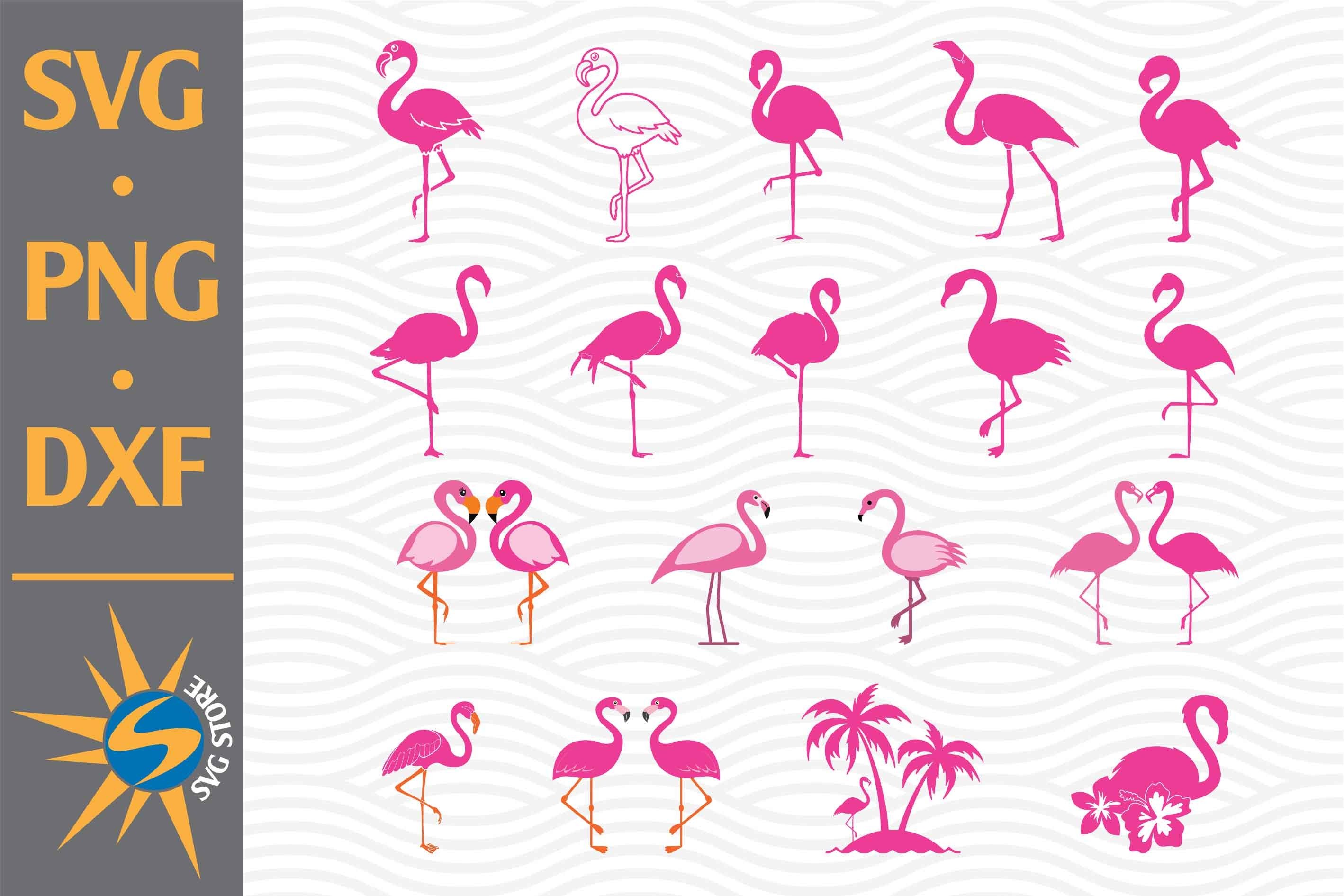 Flamingo SVG, PNG, DXF Digital Files Include (758217) | Cut Files ...