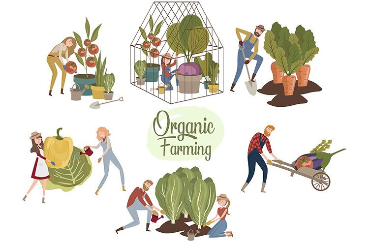 Organic life (362384) | Illustrations | Design Bundles
