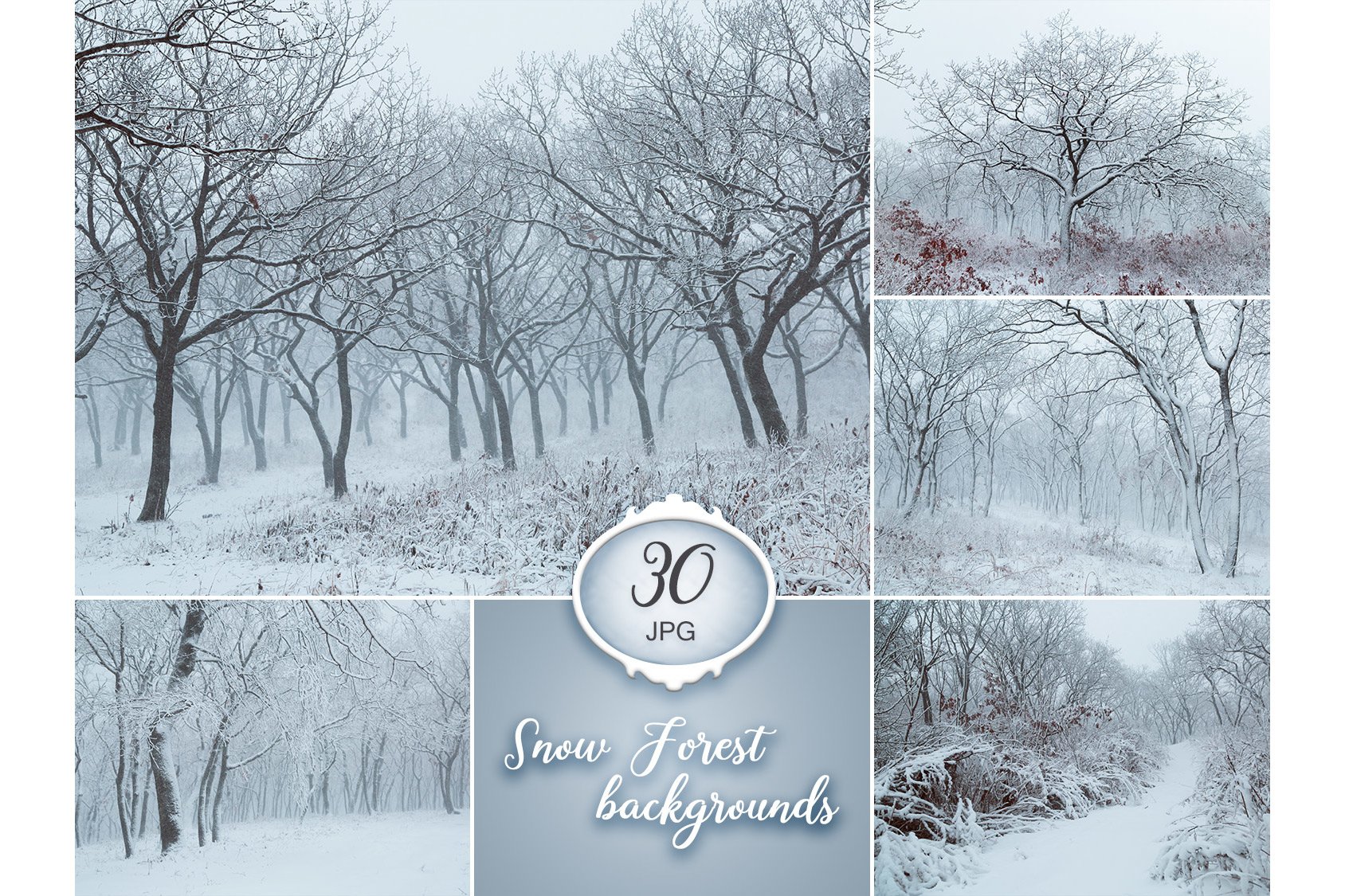 30 Winter Digital Backgrounds (377232) | Nature | Design Bundles