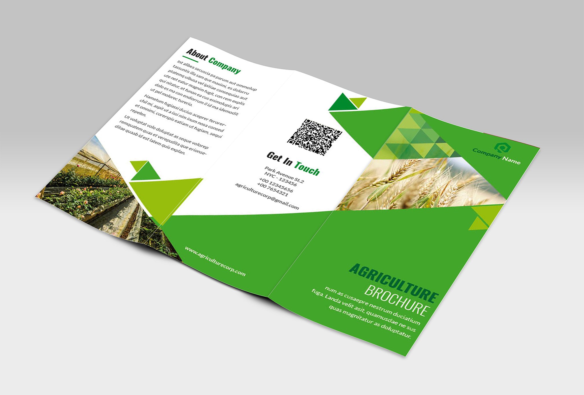 Agriculture Trifold Brochure (321616) | Brochures | Design Bundles