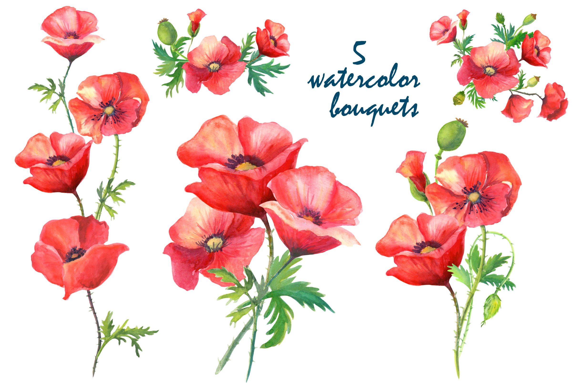 Watercolor poppies. (23126) | Illustrations | Design Bundles