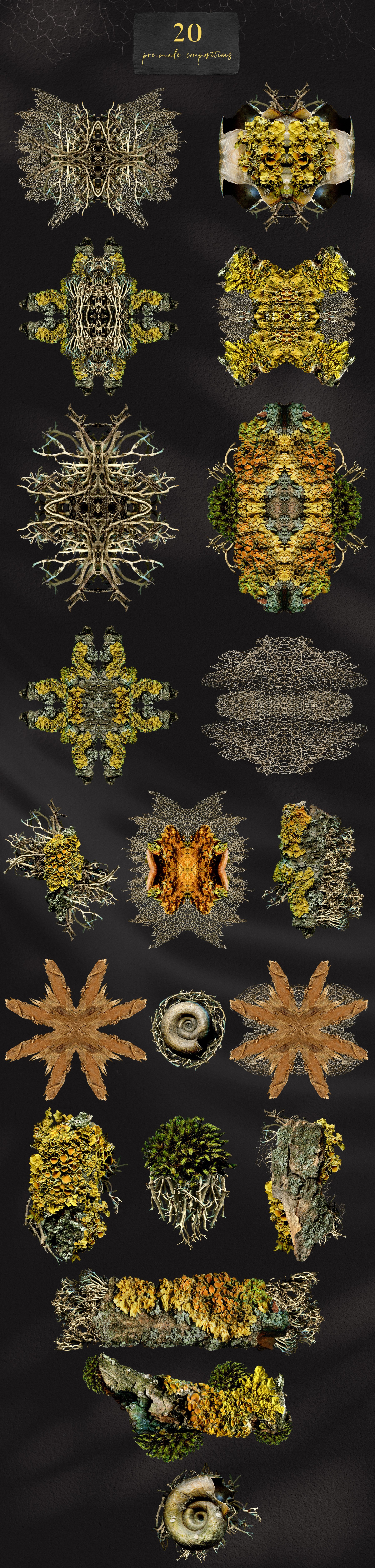 Ora - Ink&nature (648380) | Textures | Design Bundles