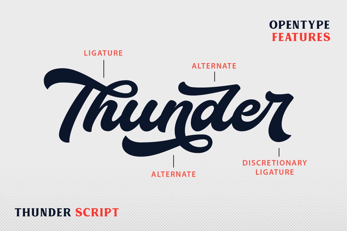 Thunder Script (211997) | Brush | Font Bundles