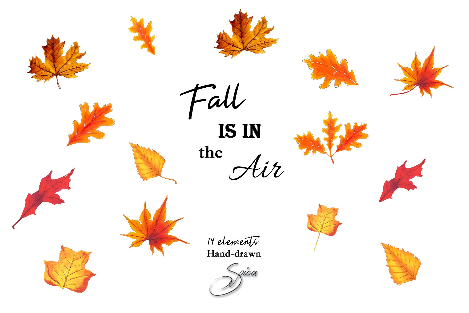 Autumn leaves. Hand-painted clipart (77207) | Illustrations | Design ...