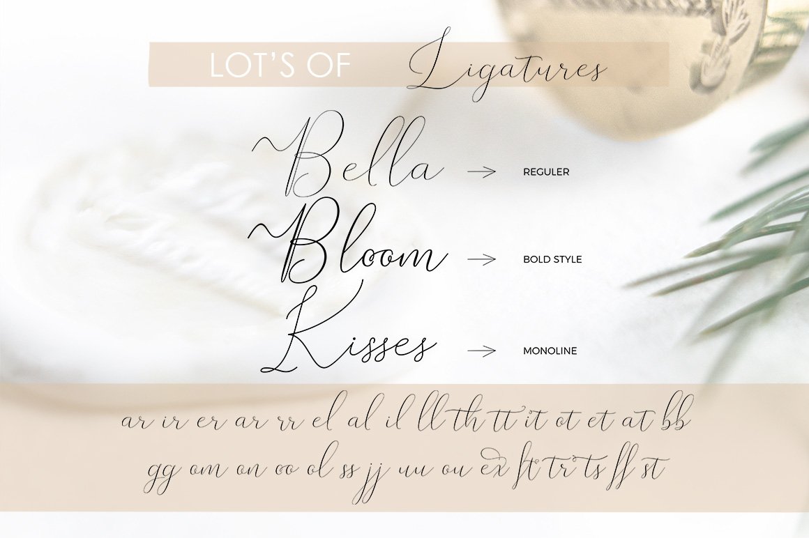 Rishella Signature Font (55531) | Script | Font Bundles