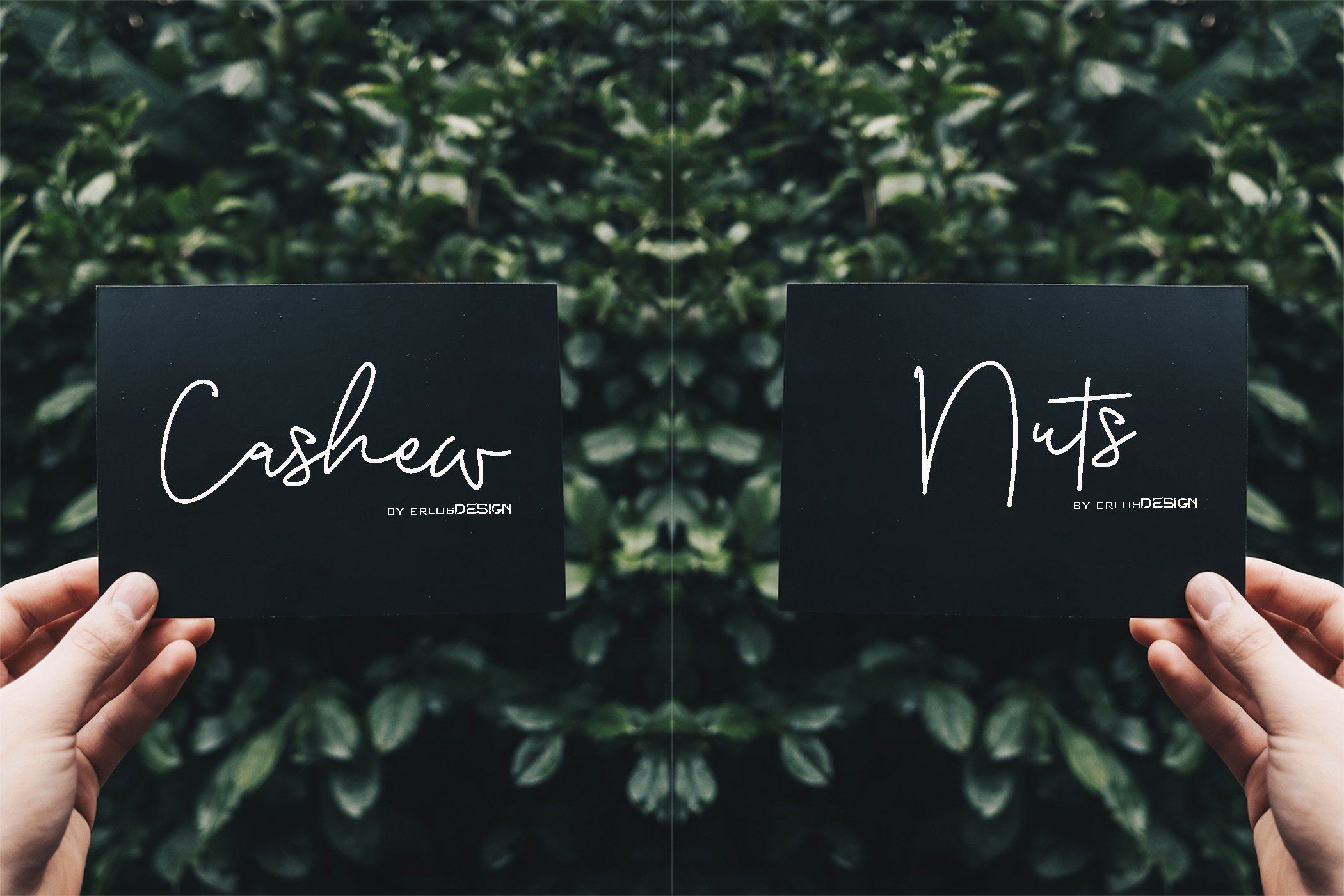 Cashew Nuts Font (702731) | Monoline | Font Bundles