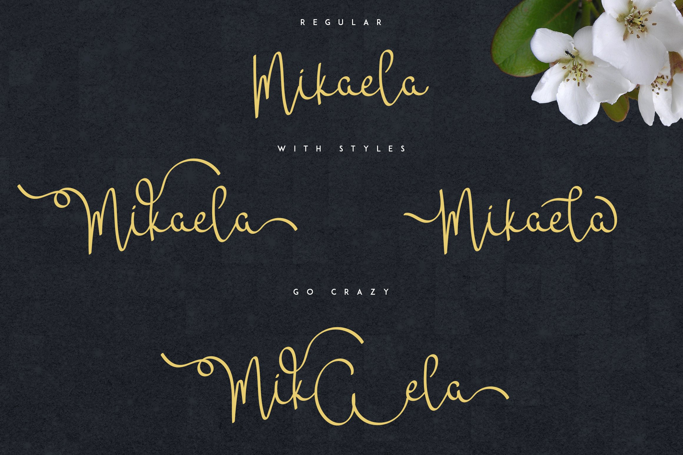 Mikaela script (26508) | Script | Font Bundles