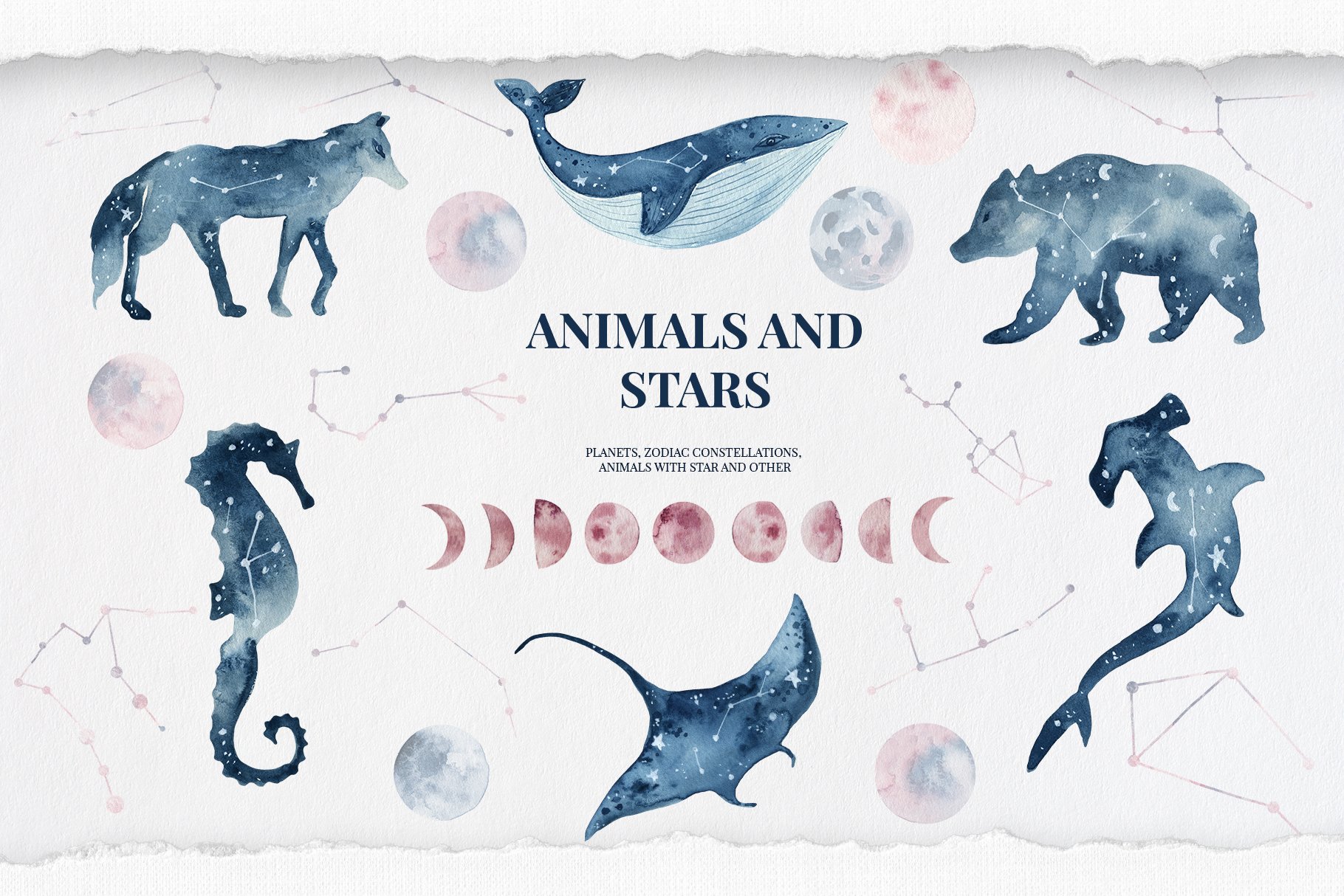 Animals and stars collection, Watercolor Constellation, (296799 ...
