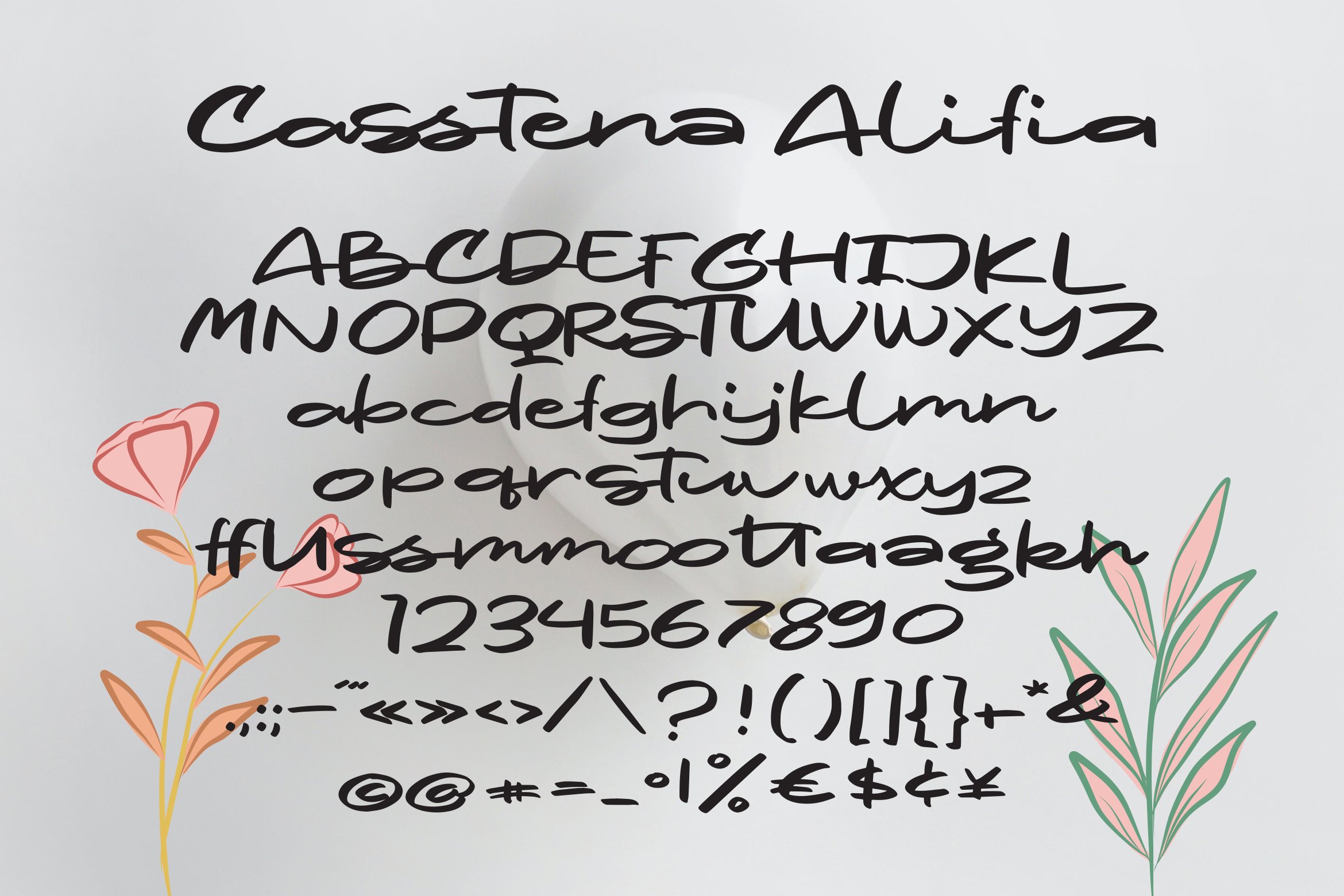 Casstena - Script Fonts