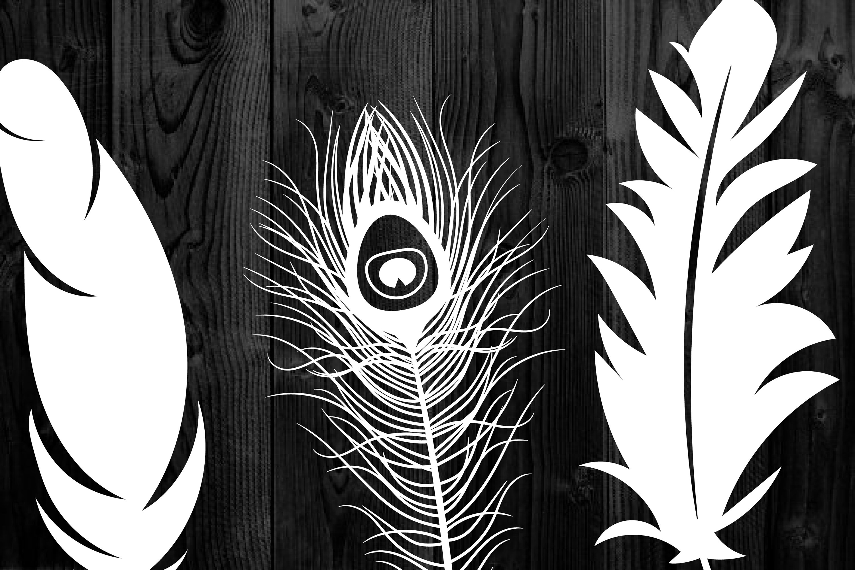 Feather Svg files | Feather Clipart (184384) | Cut Files | Design Bundles