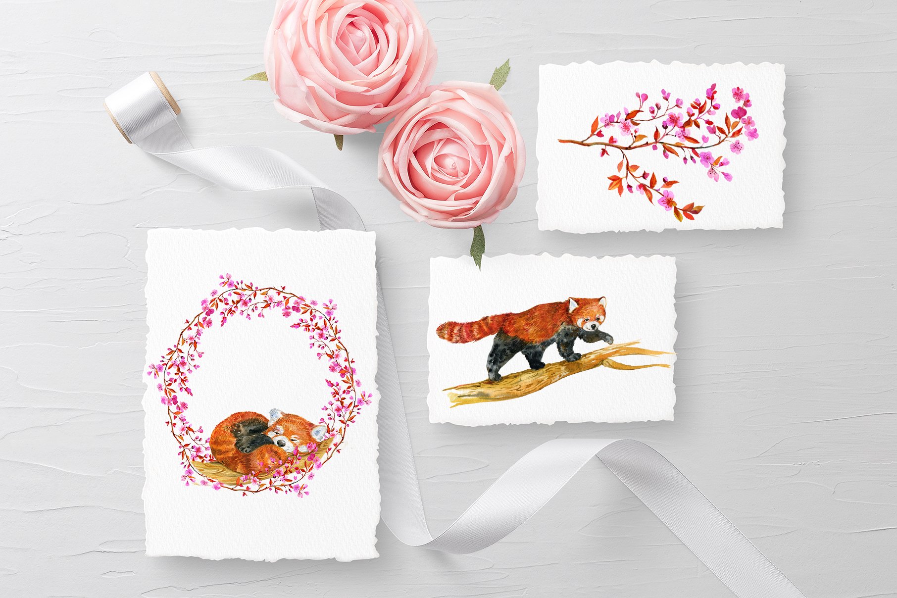Red Panda ,watercolor illustrations (246812) | Illustrations | Design ...