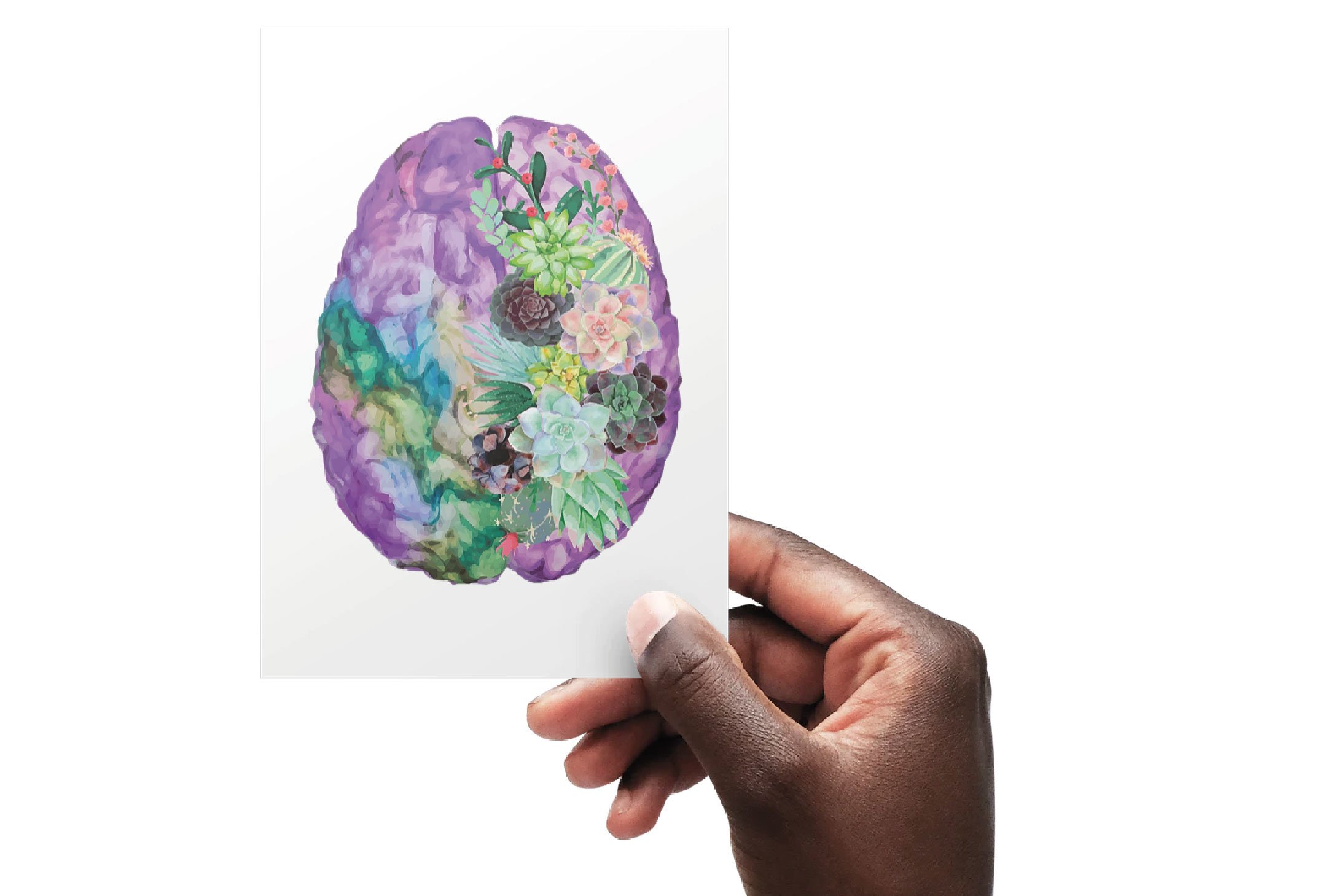 Succulent garden blooming anatomical brain watercolor design (587893 ...