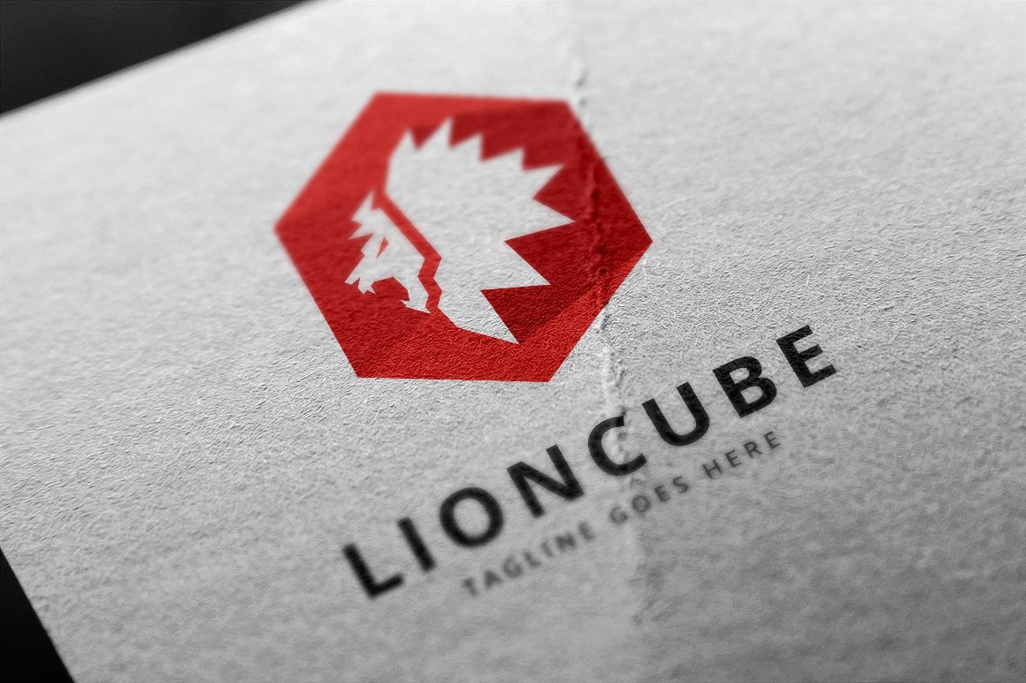 Lion Cube Logo (658363) | Logos | Design Bundles
