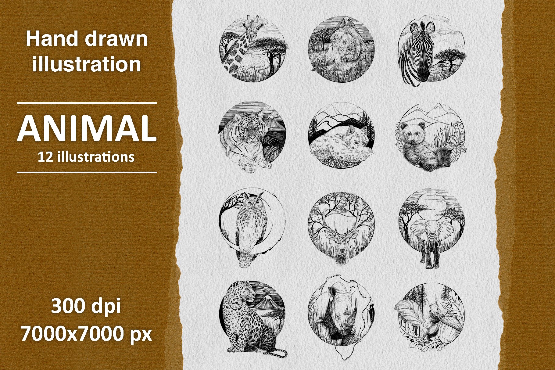 12 hand drawn animal illustrations (1011915) | Illustrations | Design ...