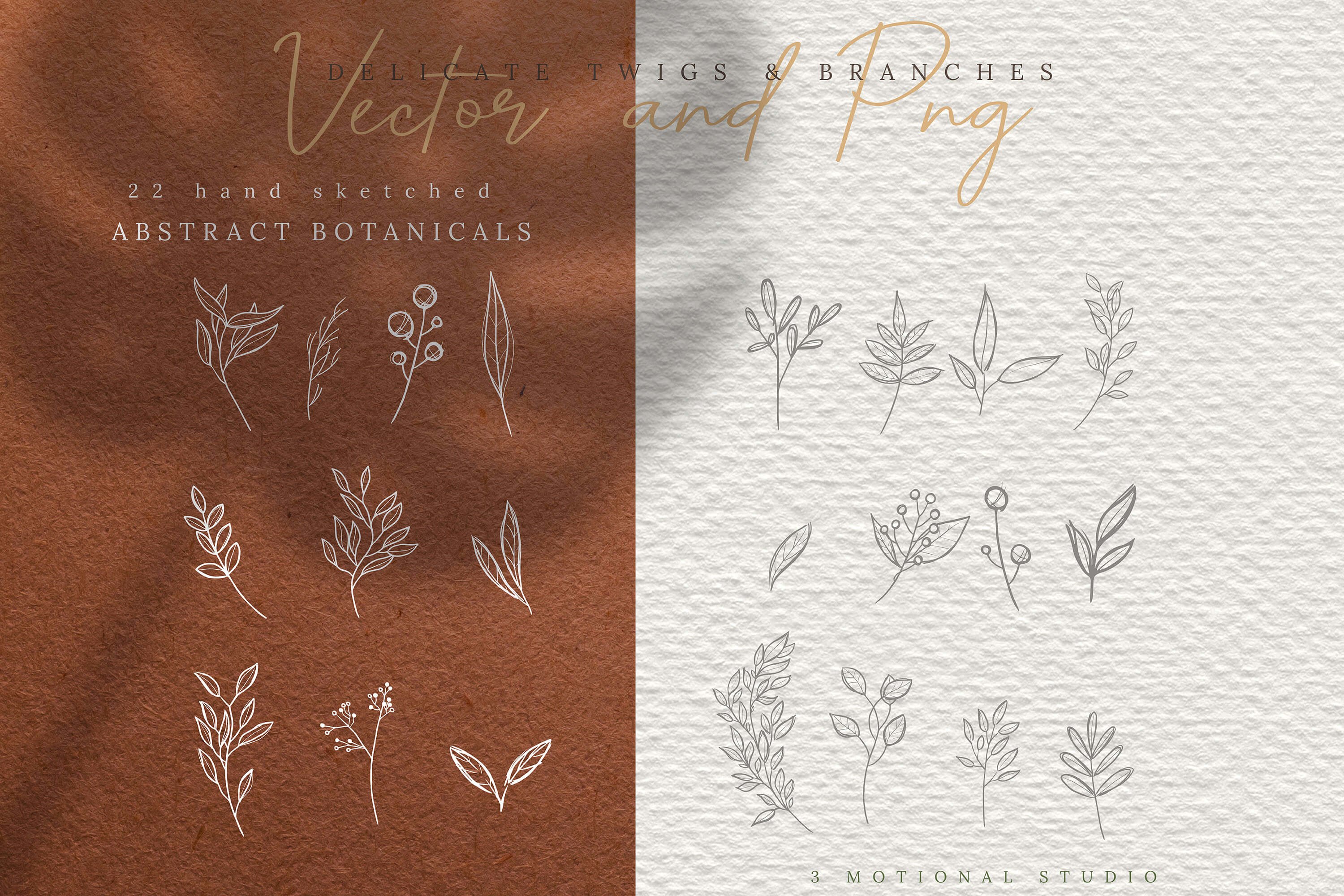 Hand drawn botanical logo elements high res png (299388 ...