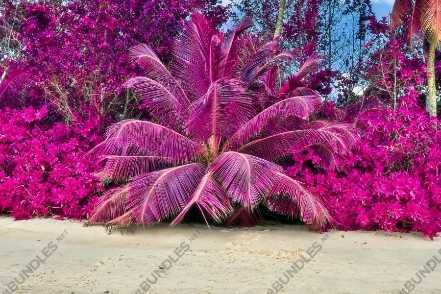 Beautiful pink infrared palm trees (1778406)