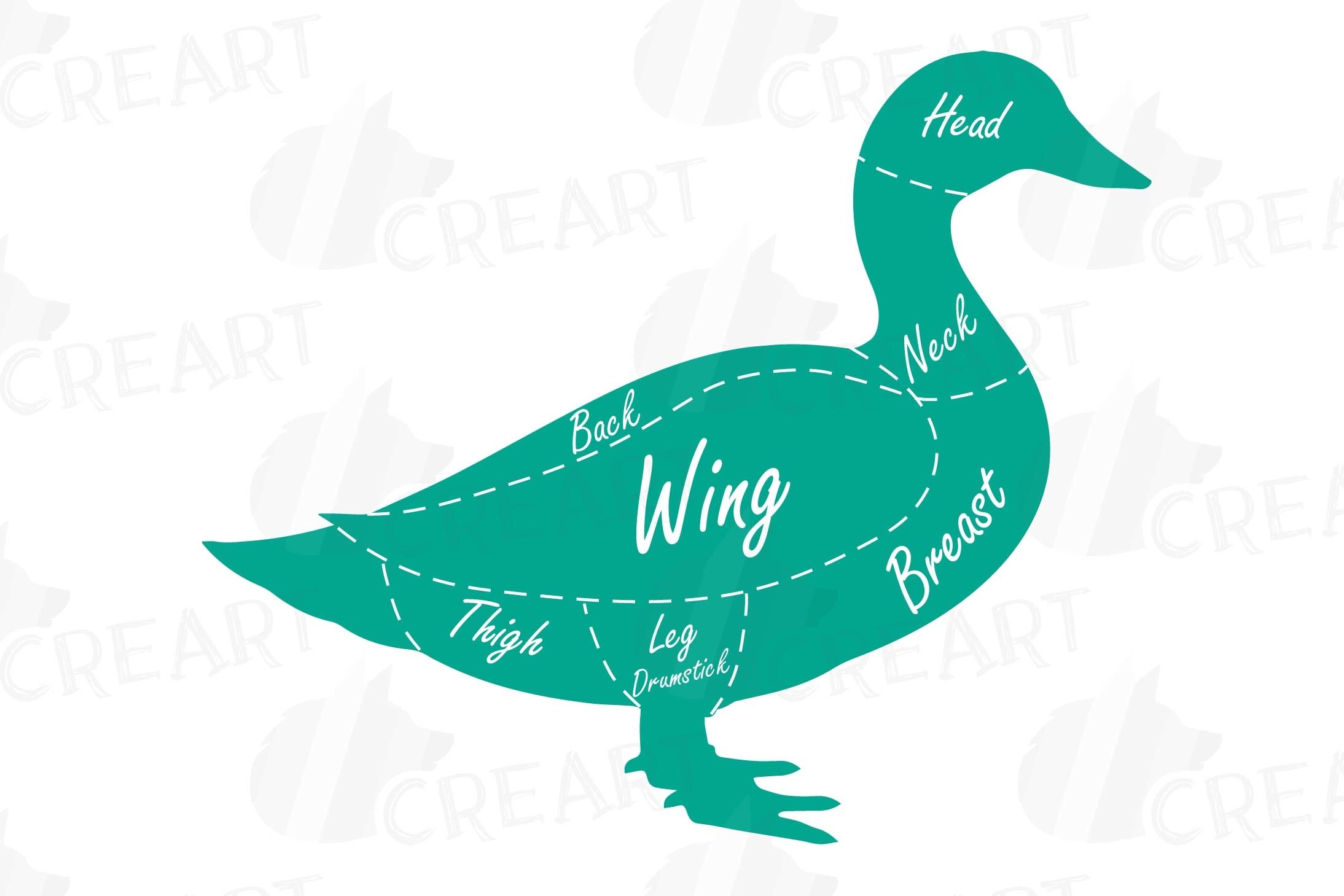 Butcher duck diagram clip art, digital duck chart, duck cuts (109360 ...
