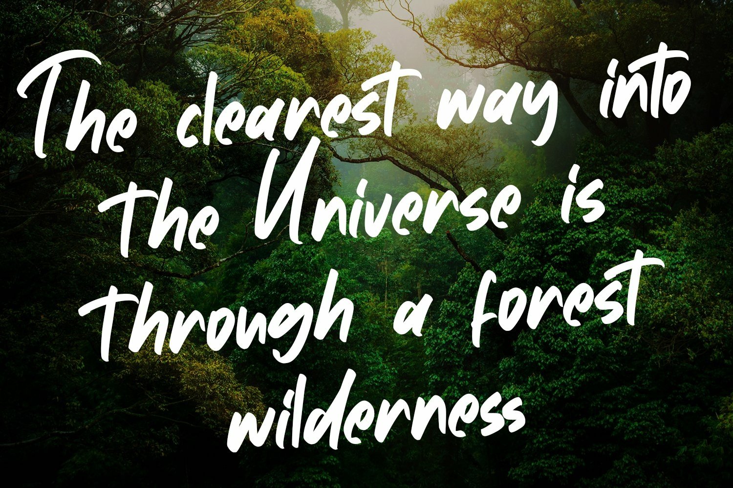 Web Font Jungkook - Handwritten Brush Fonts