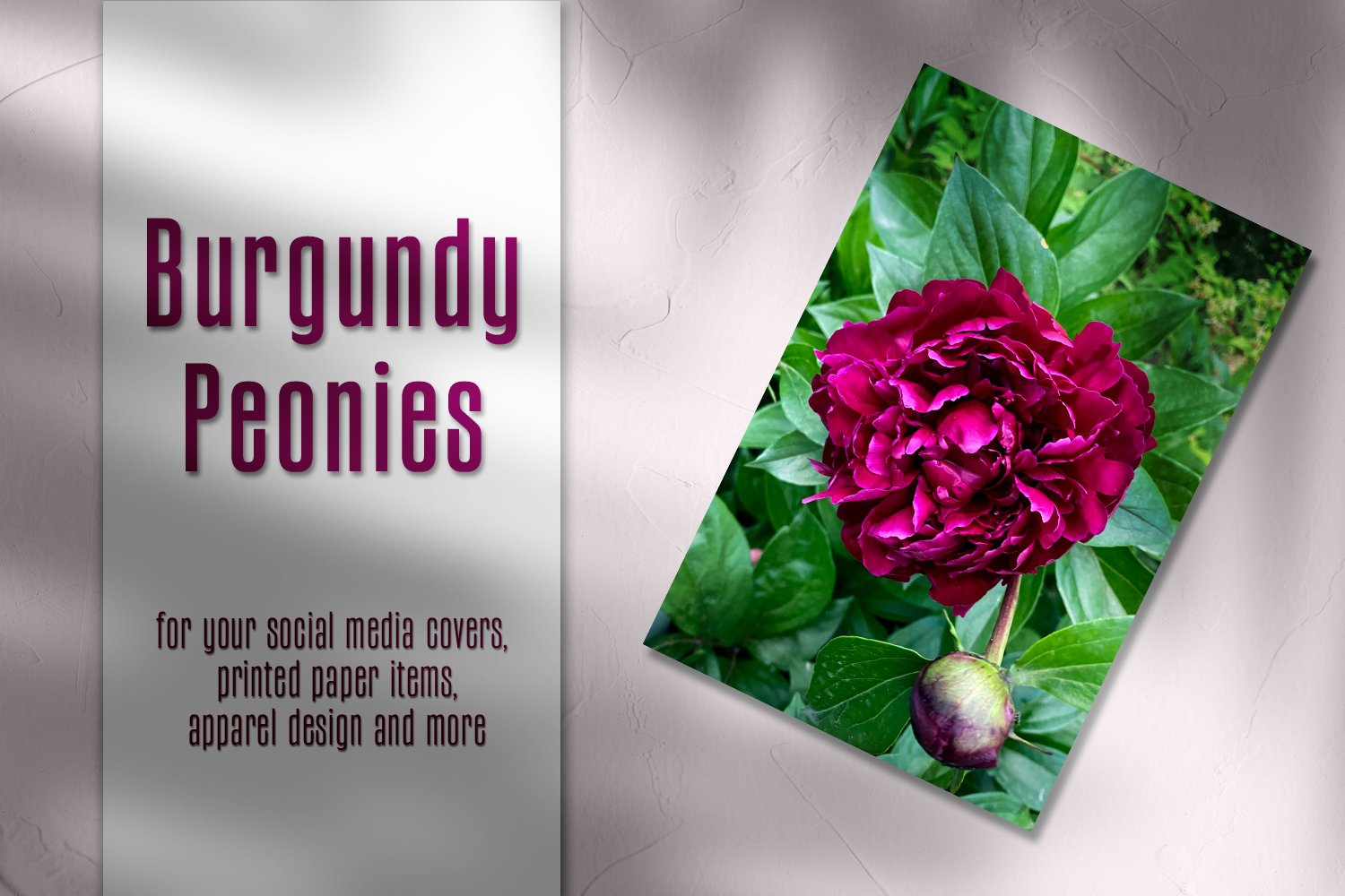 Burgundy Peonies (638439) | Nature | Design Bundles