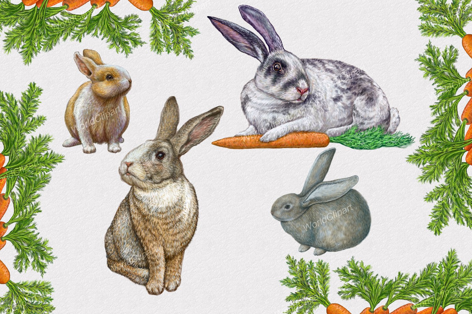 Rabbits clipart illustrations (376611) | Illustrations | Design Bundles