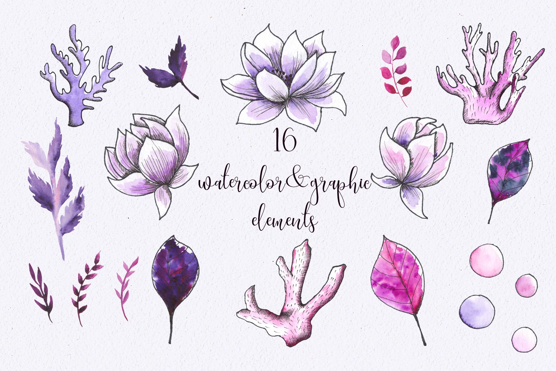 Ocean sea watercolor animals (215524) | Illustrations | Design Bundles