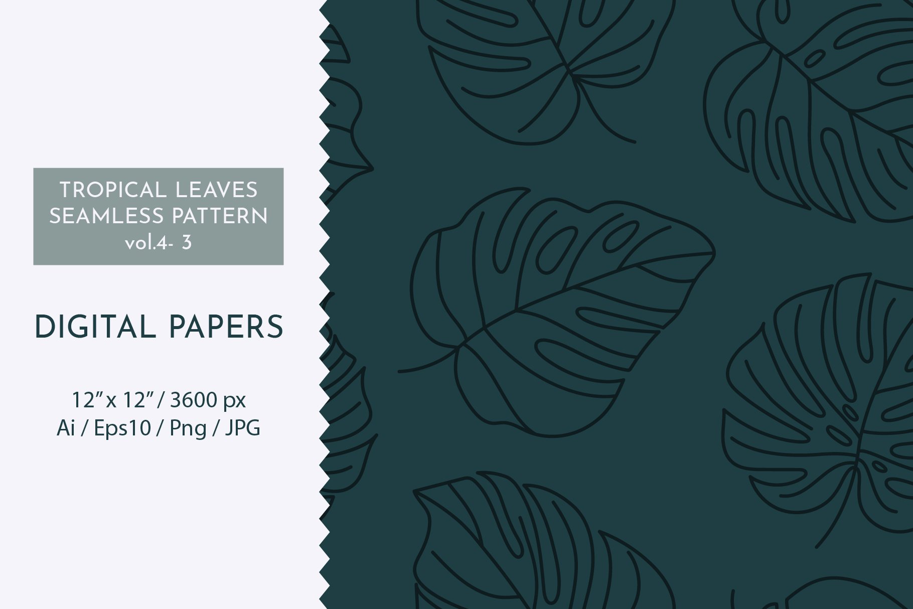 Tropical Patterns|Monstera Leaves Patterns|Digital Paper (728875 ...