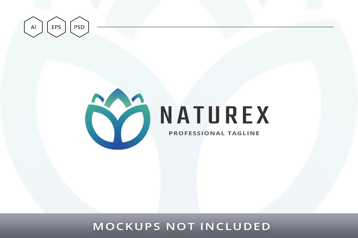 Naturex Logo (672282) | Logos | Design Bundles