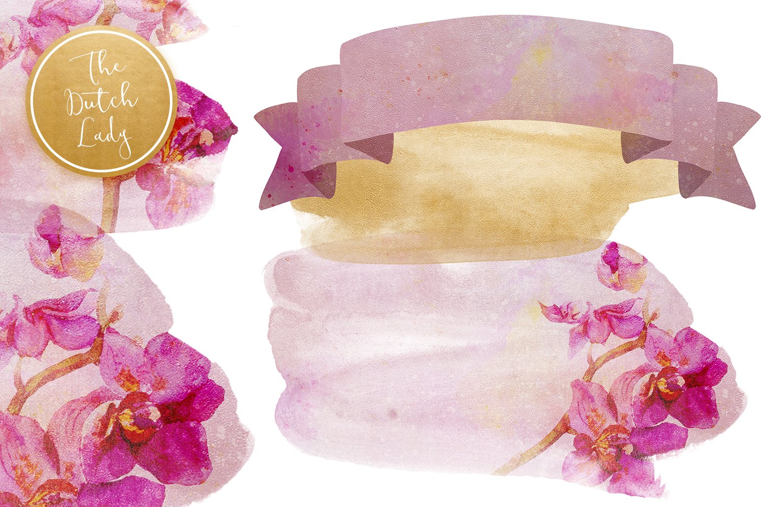 Orchid Banner Clipart Set (460689) | Illustrations | Design Bundles