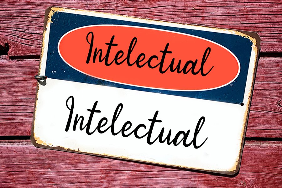 Straight Light | Modern Script Font (1048580) | Calligraphy | Font Bundles