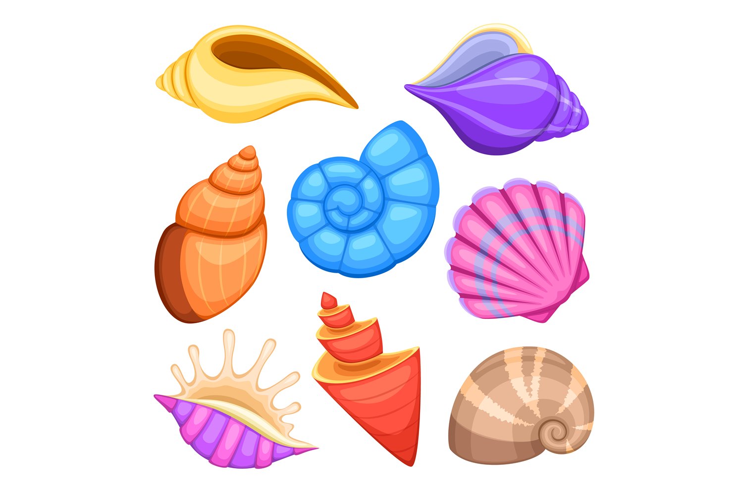 Seashell Vector