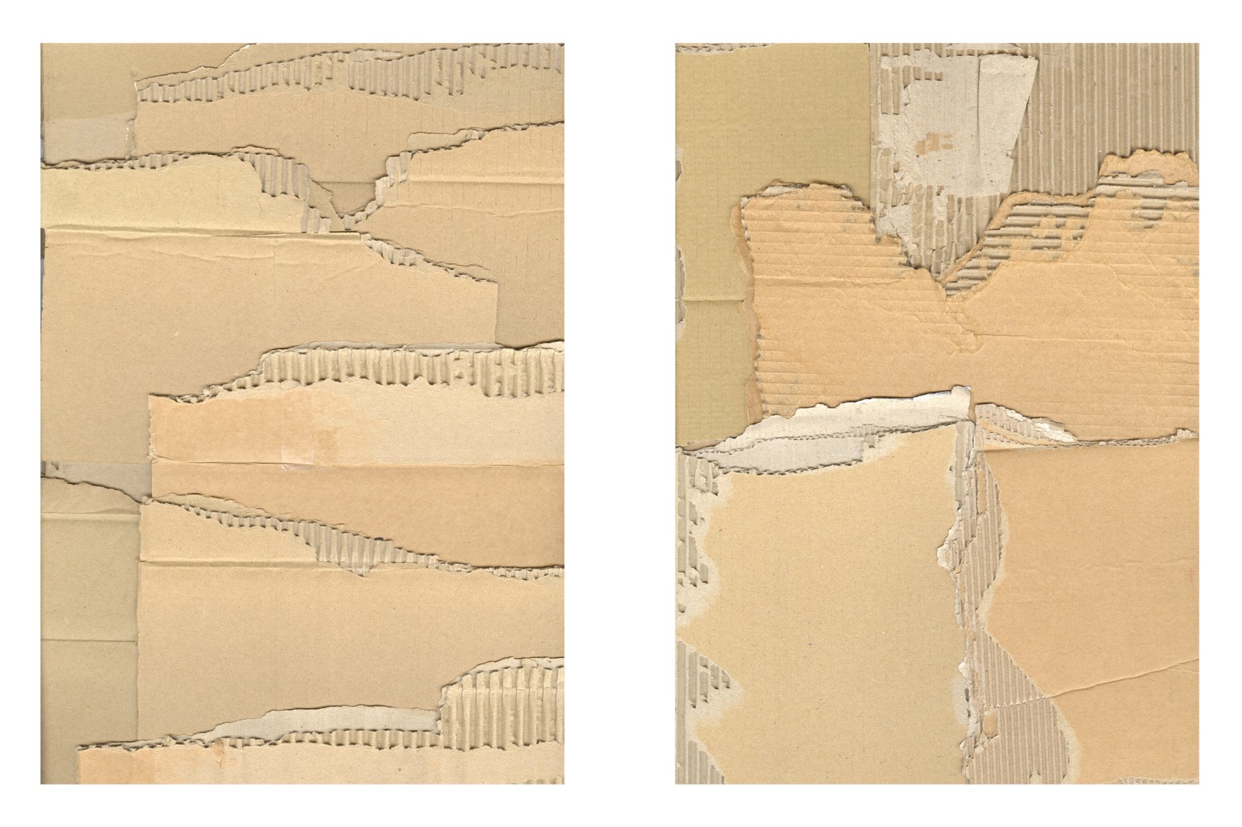 Worn & Torn Cardboard Texture Vol. 1 (118346) | Textures | Design Bundles