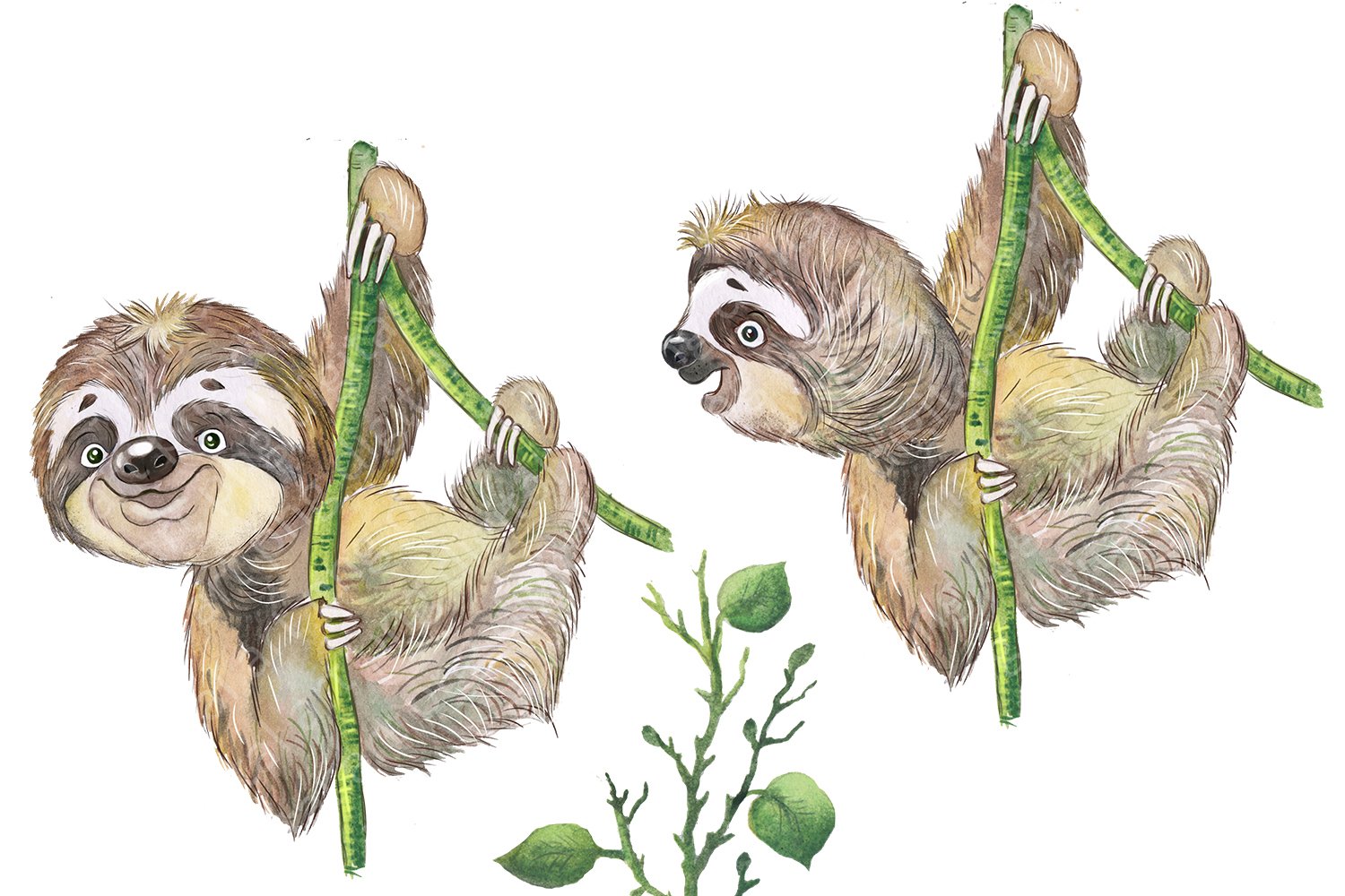 Watercolor sloth clipart Tropical animal clipart Cute sloths (652580 ...