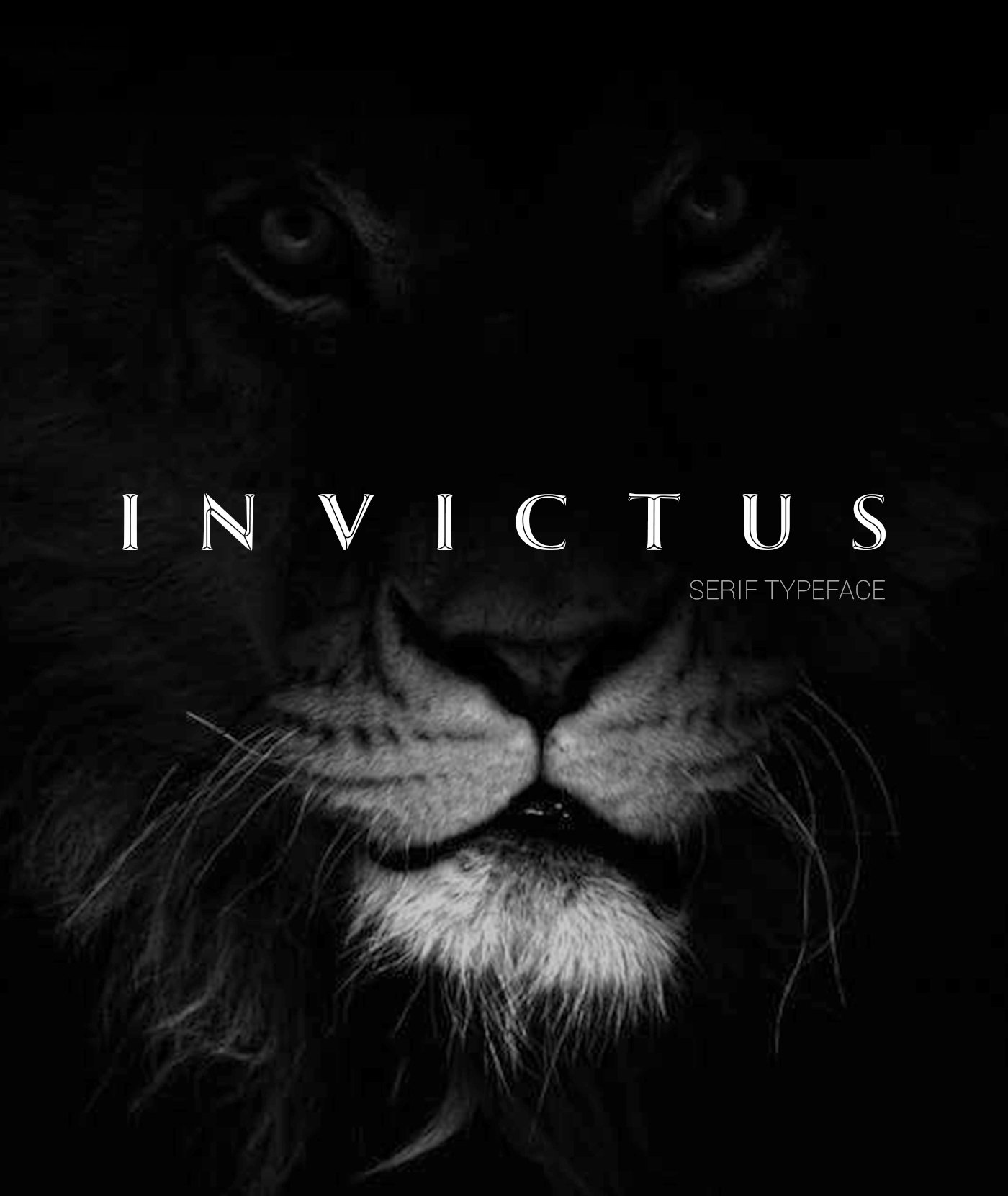 Invictus Serif Typeface (74842) | Display | Font Bundles