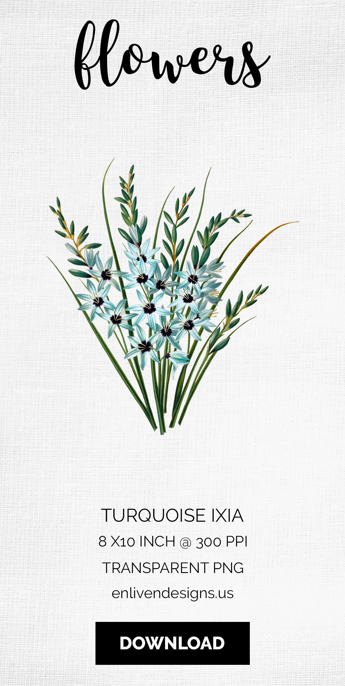 Flowers Turquoise Flowers (118222) | Illustrations | Design Bundles