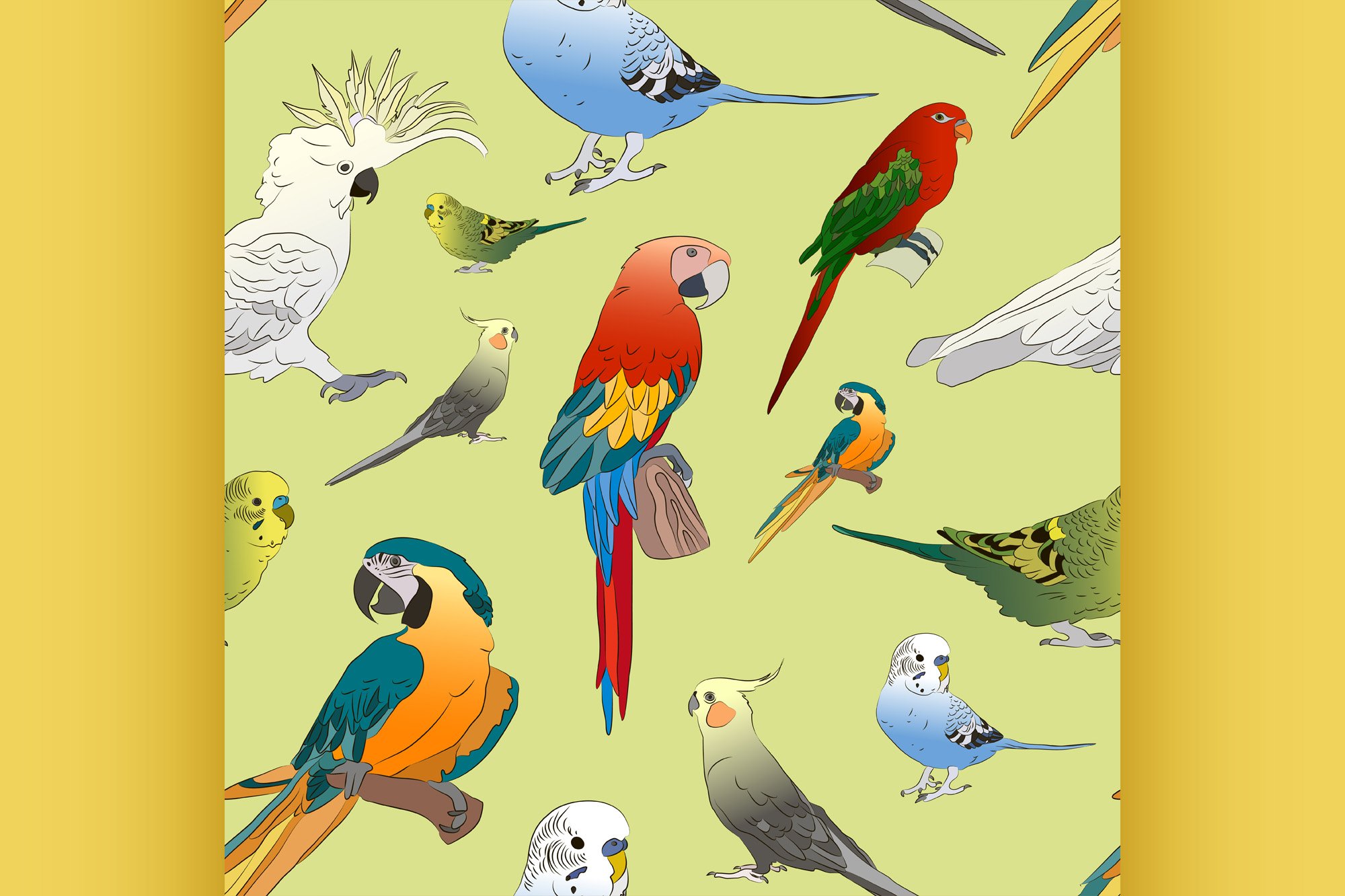 Parrots set pattern (673689) | Illustrations | Design Bundles