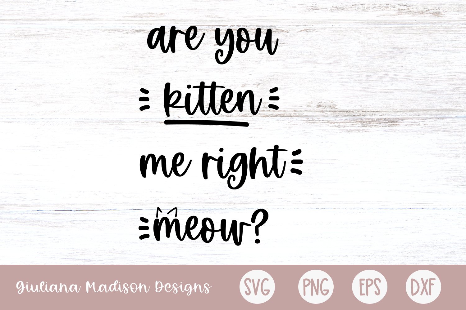 cat sarcasm svg funny sarcasm svg files shirts (1417565) | SVGs ...