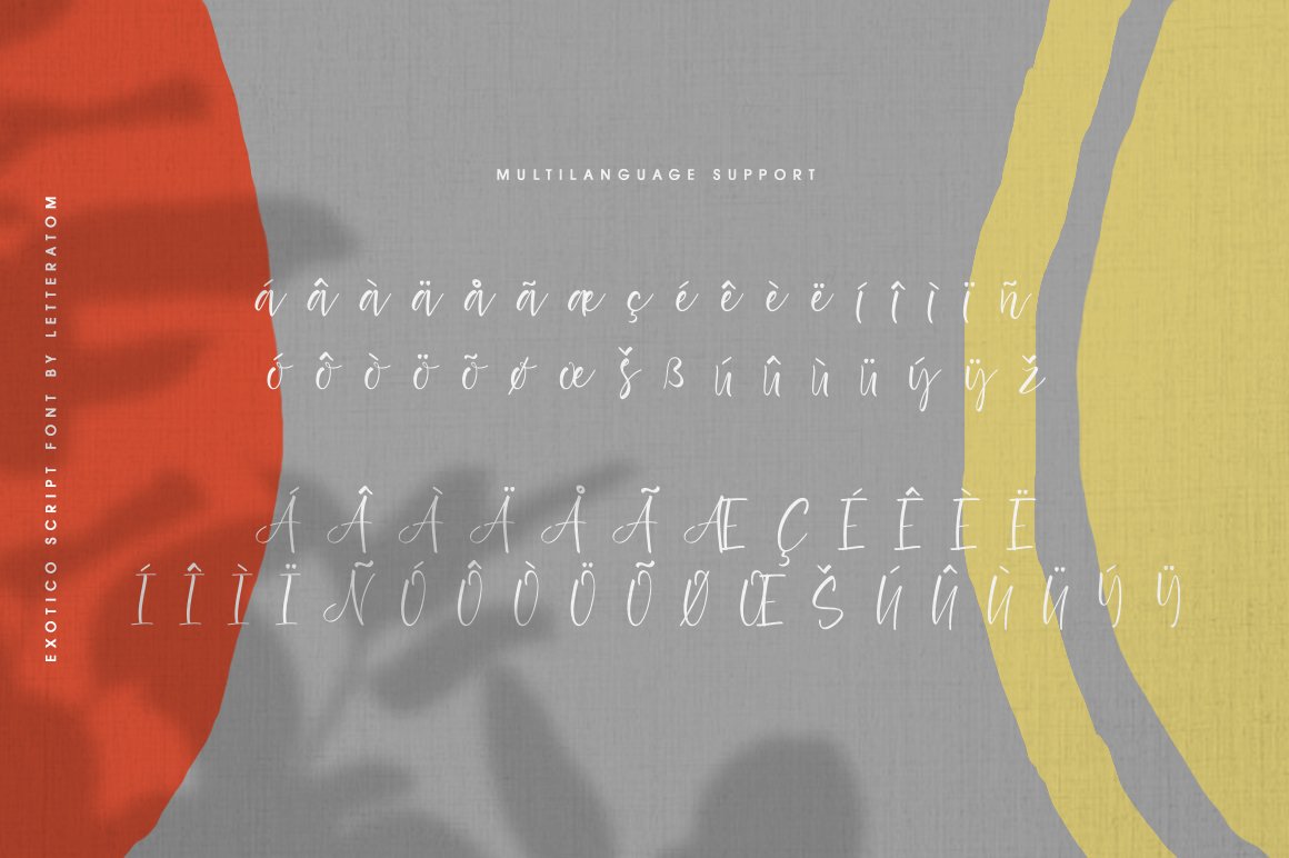 Exotico (280914) | Calligraphy | Font Bundles