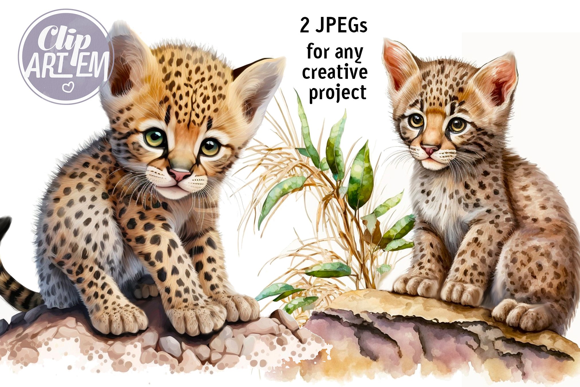 Kitten That Looks Like A Cheetah