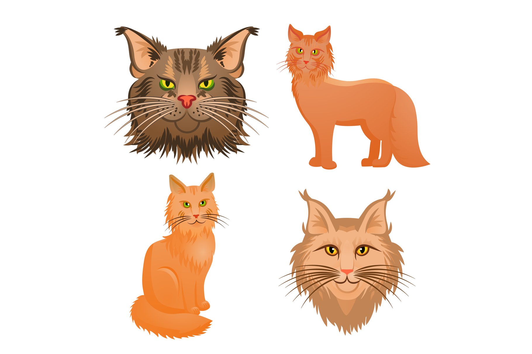 Maine coon icons set, cartoon style (565015) | Illustrations | Design ...