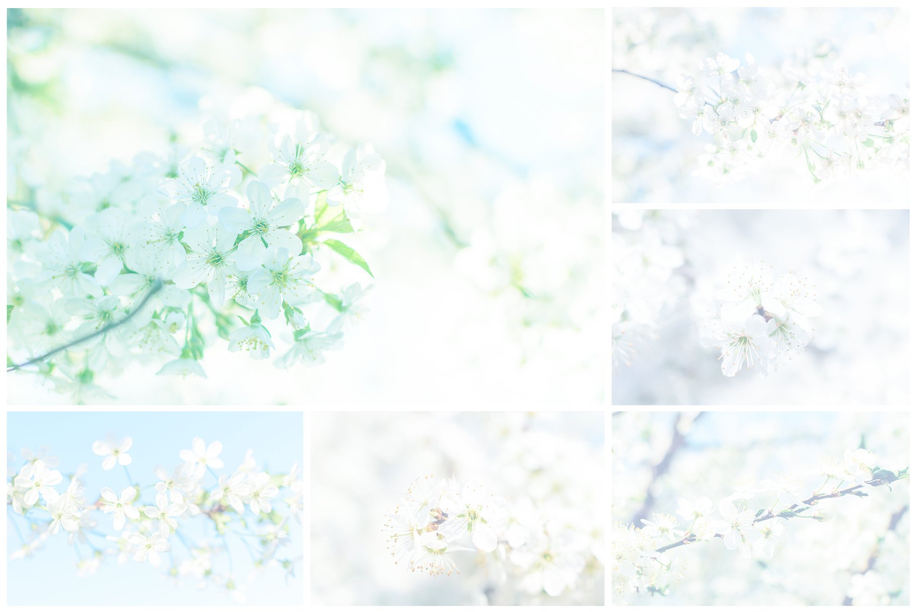 Spring Flowers and Paintings Bundle (53431) | Nature | Design Bundles