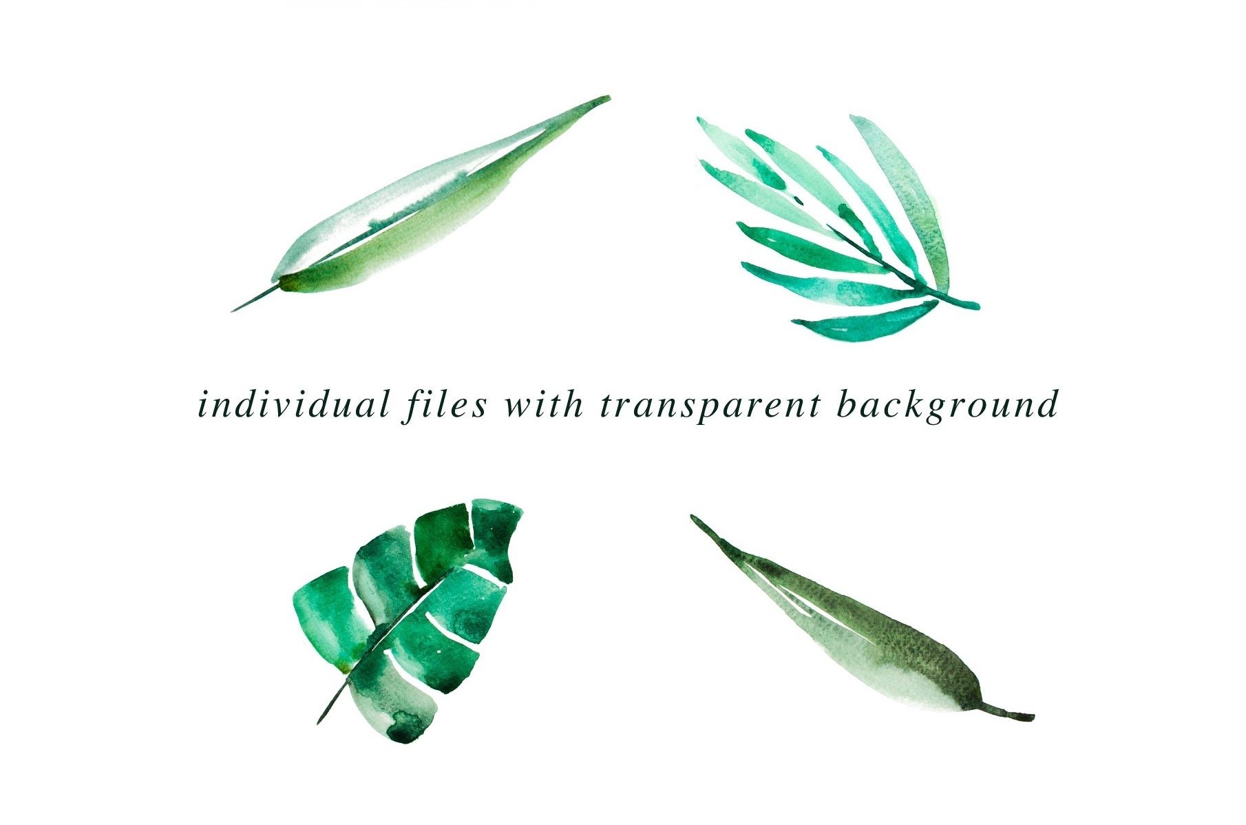 Watercolor jungle leaves | Clipart PNG Illustrations (908966 ...