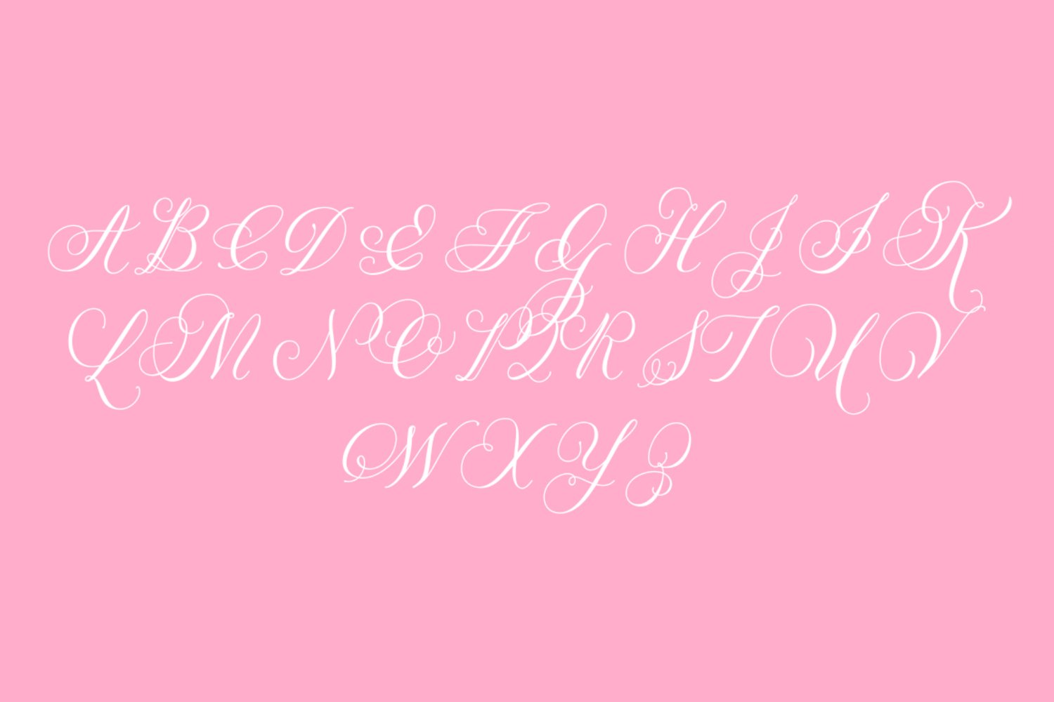 Petunia (9036) | Script | Font Bundles