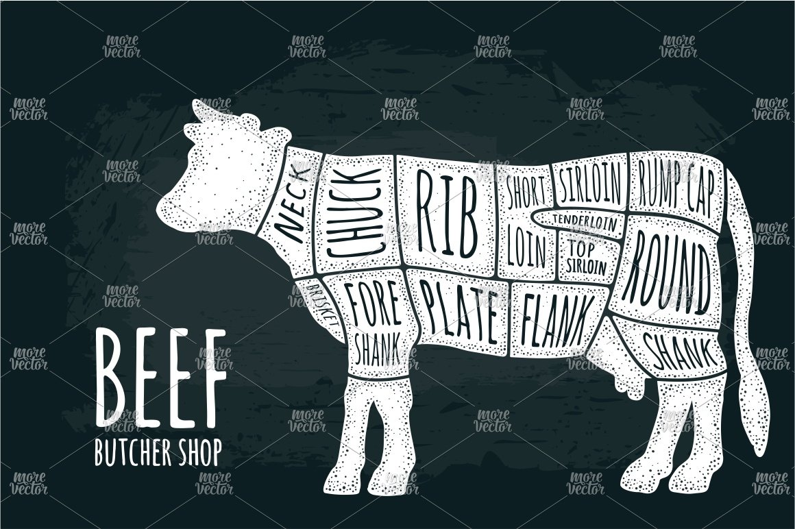 Cuts cow meat Vintage engraving butcher shop Beef lettering (220098 ...