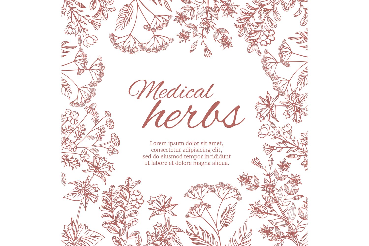Vintage decorative background with medicinal organic healing (764585 ...