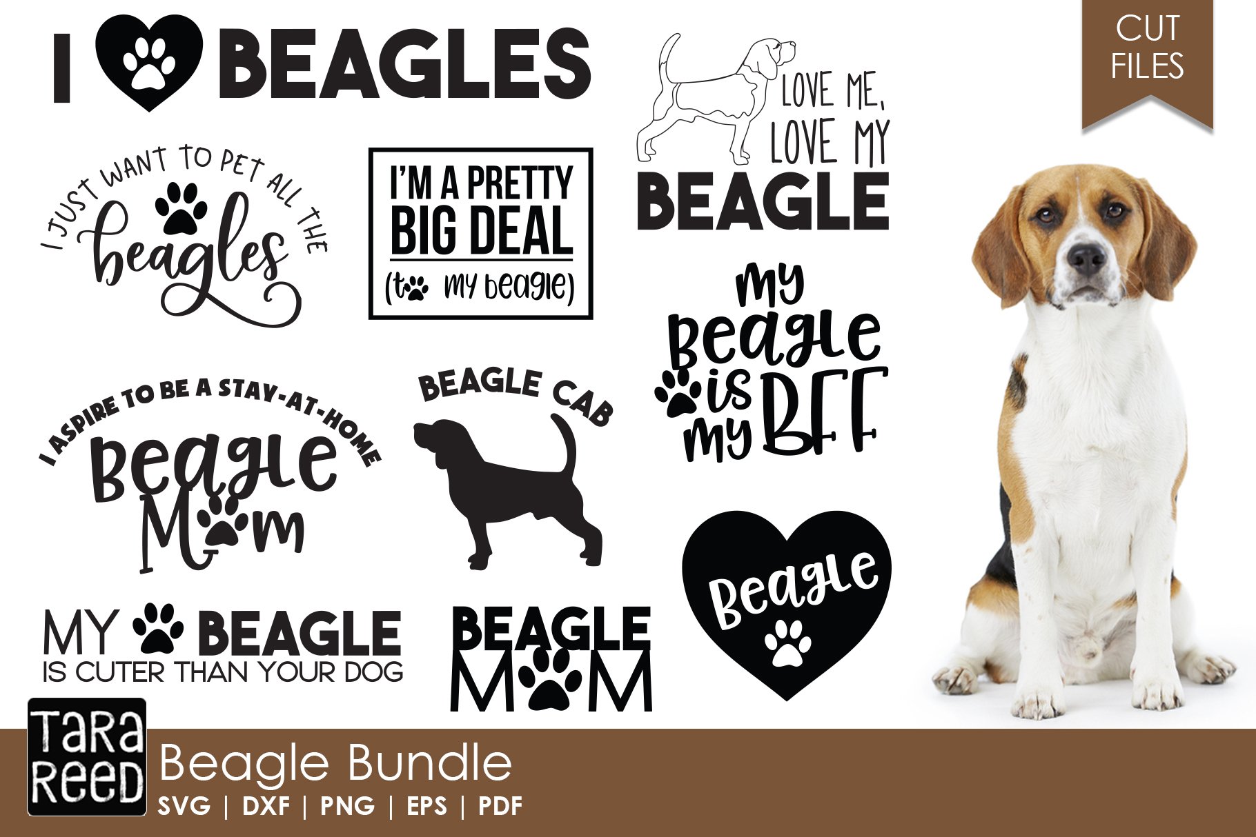 Beagle SVG Digital Drawing & Illustration etna.com.pe