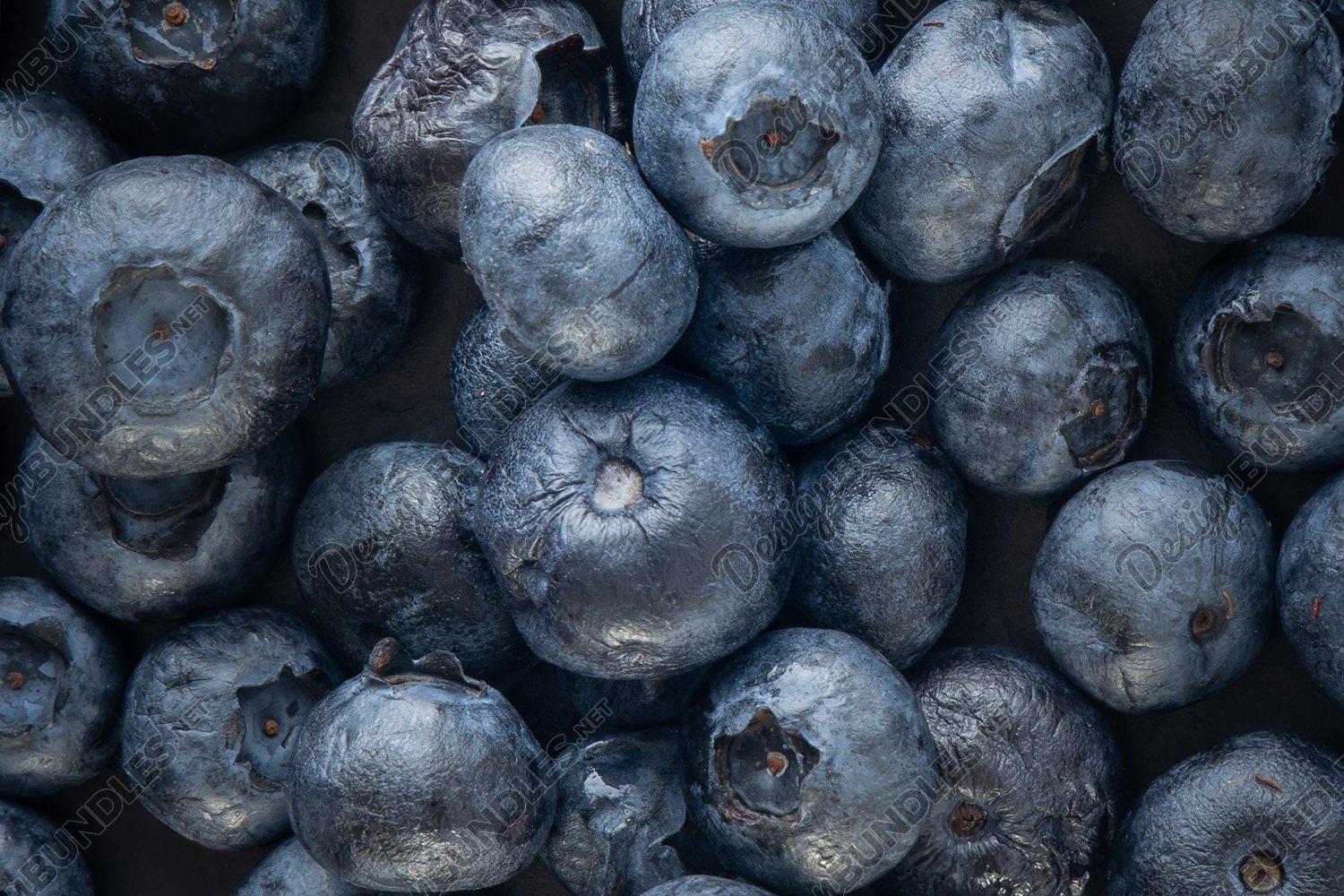 Flat Lay Blueberries (877661) | Food and Drink | Design Bundles