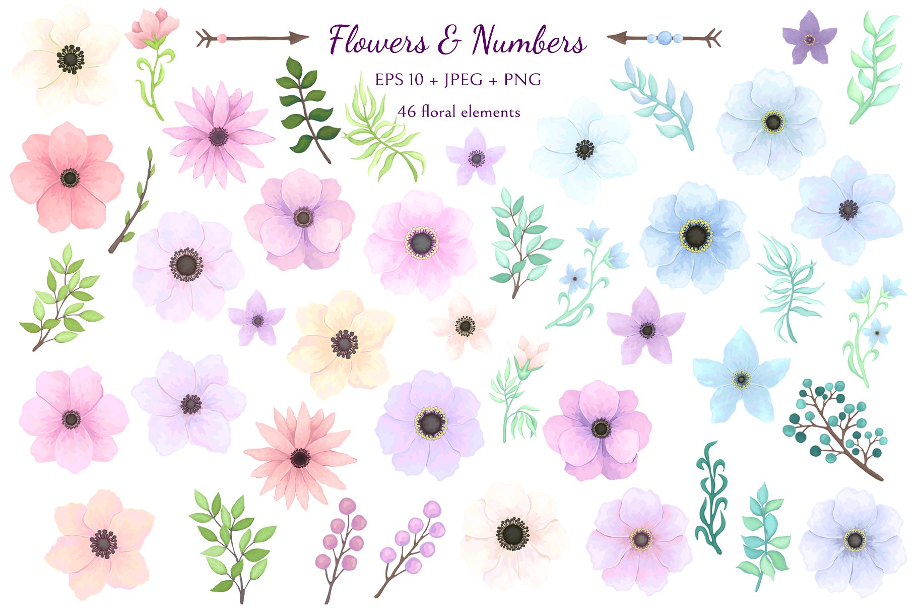 Flowers & Numbers (540691) | Illustrations | Design Bundles