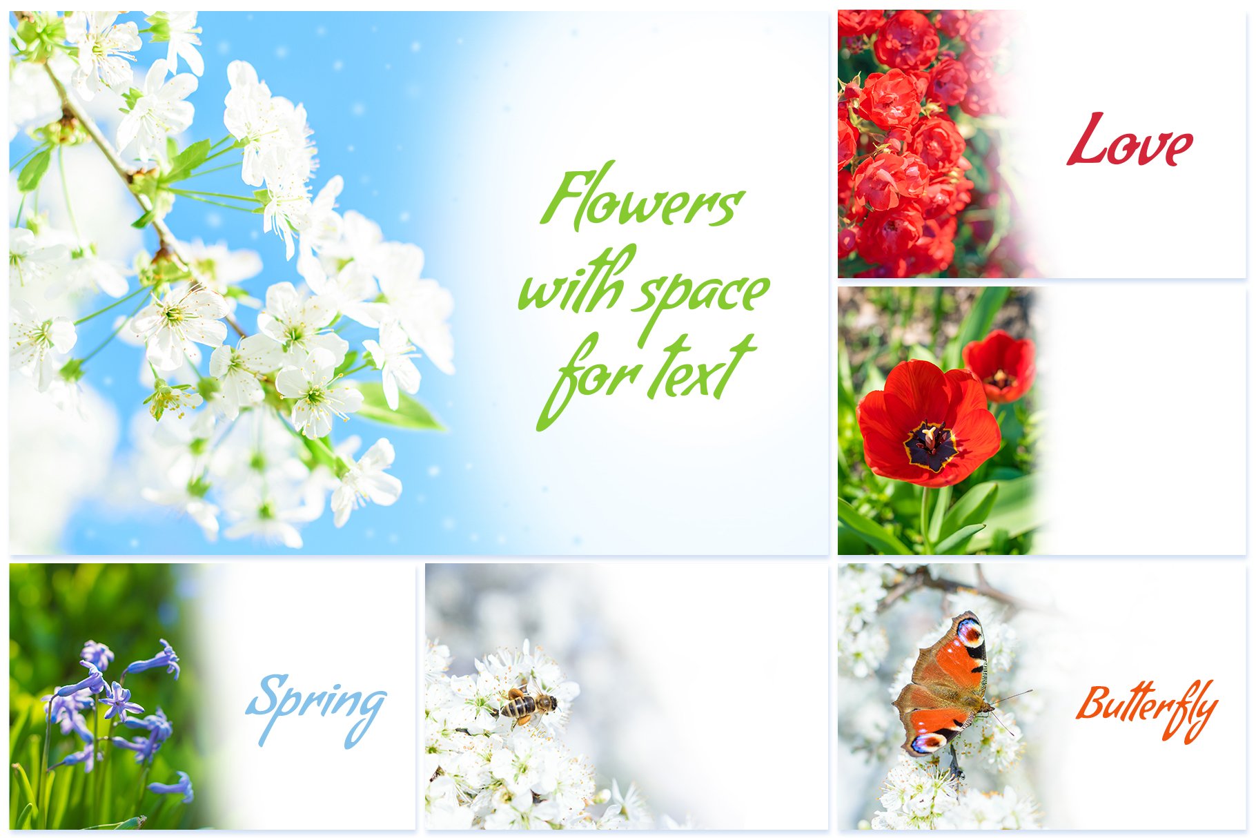 Spring Flowers and Paintings Bundle (53431) | Nature | Design Bundles